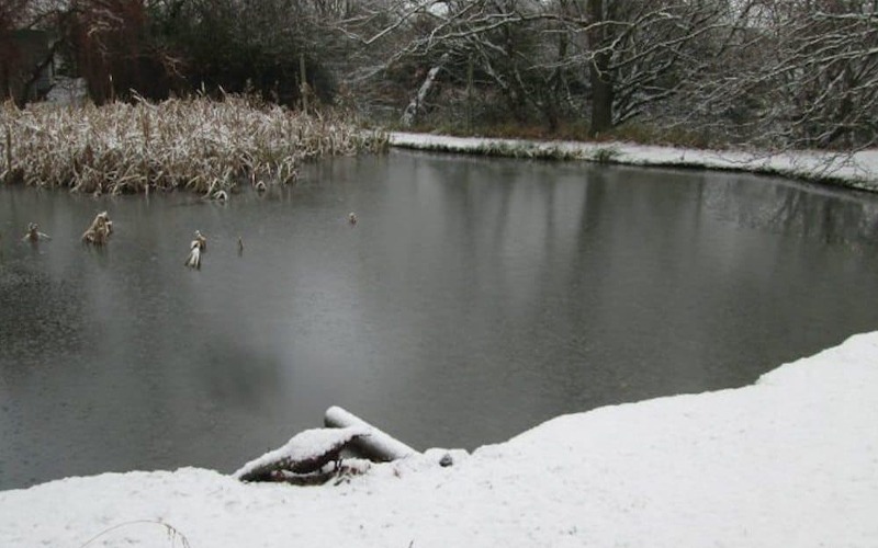 How Long Does It Take For A Pond To Freeze – Depends On Depth, Size ...