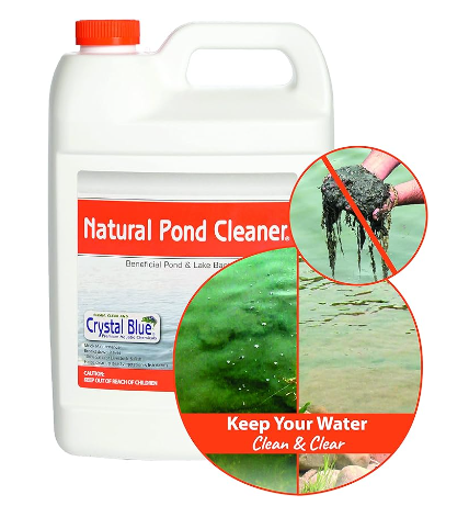How to Get Rid of Moss on a Pond: Clear Water Tips