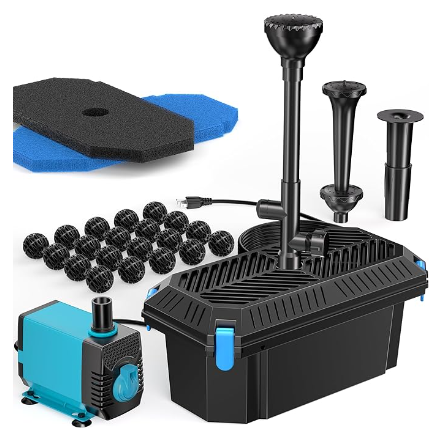 How to Turn a Swimming Pool into a Pond: A Natural Oasis!