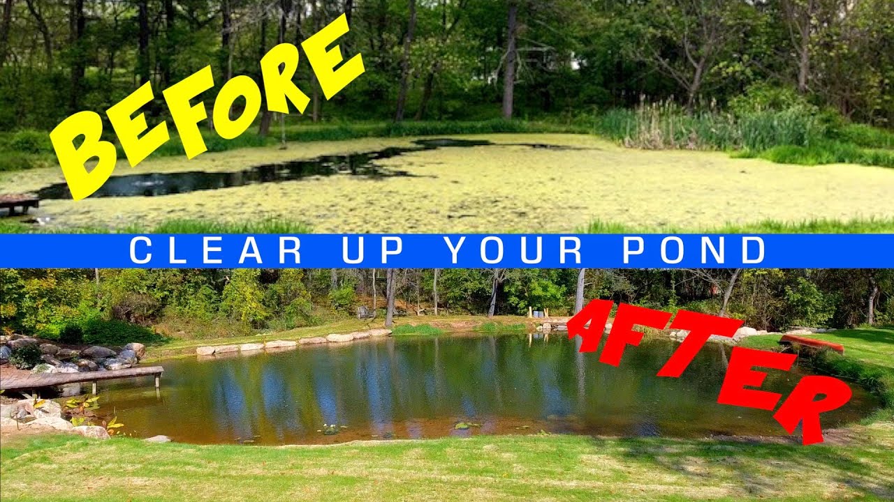 How to Make a Clear Pond: Sparkling Water Secrets