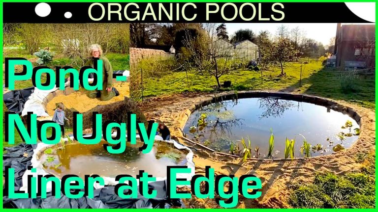 How to Make a Natural Pond Without a Liner: Eco-Smart Guide