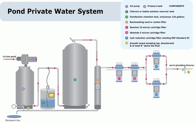 How to Make Pond Water Drinkable: Pure Solutions