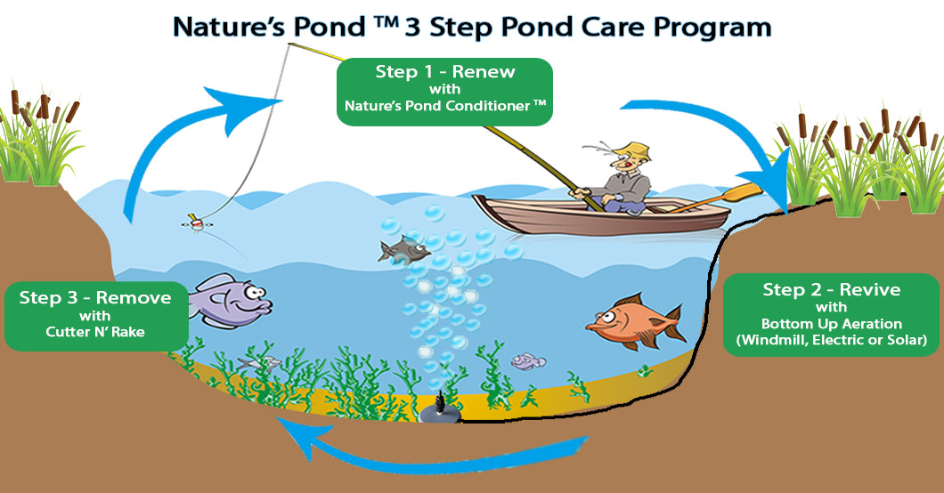How to Take Care of a Pond: Essential Tips & Tricks