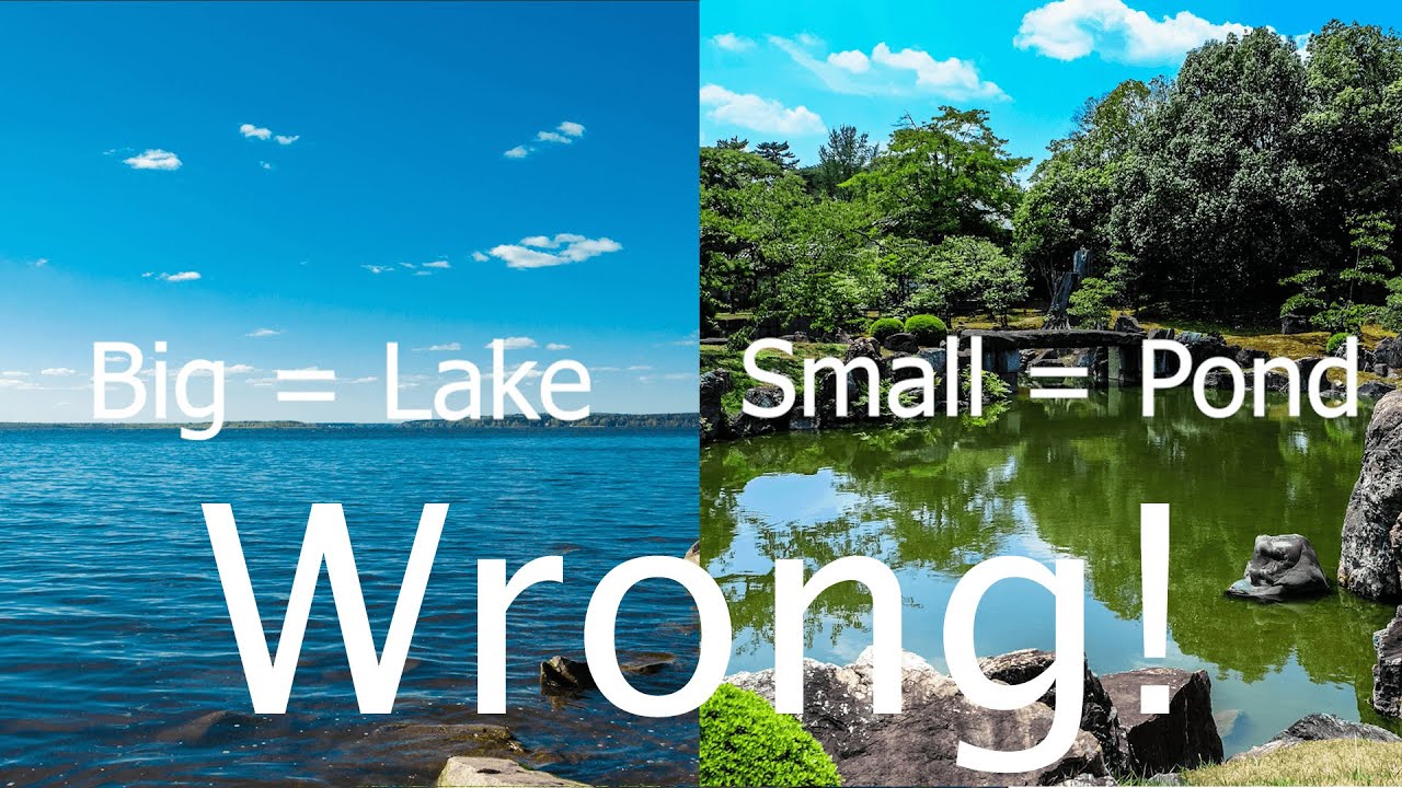 What's the Difference Between a Pond and a Lake?: Unveiling Mysteries