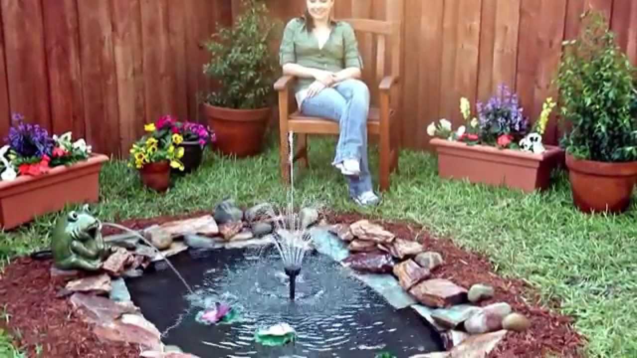 How to Build a Mini Pond in Your Backyard: Easy DIY Guide