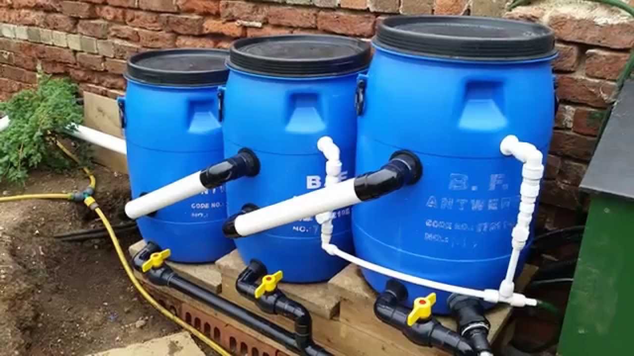 How to Build a Pond Filter System: Ultimate DIY Guide