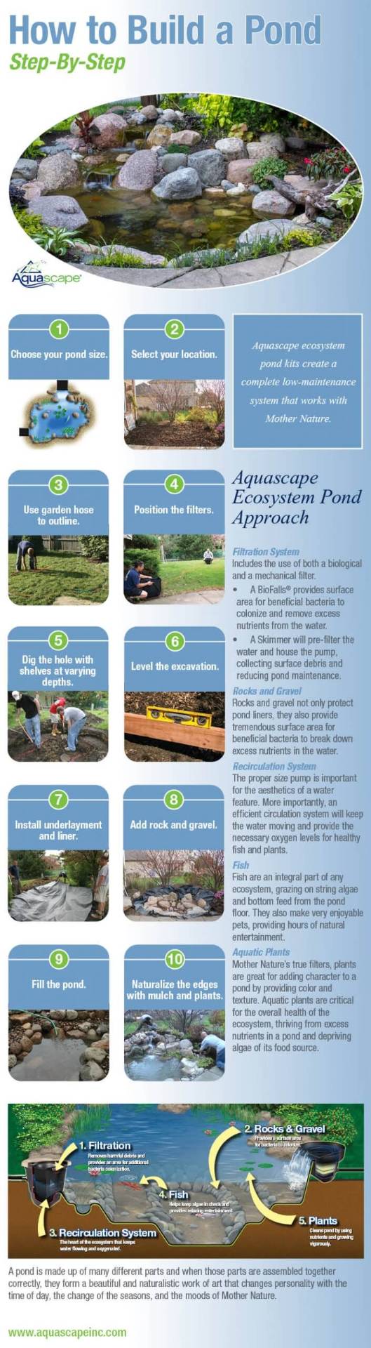 How to Build a Pond Step by Step: Easy DIY Guide