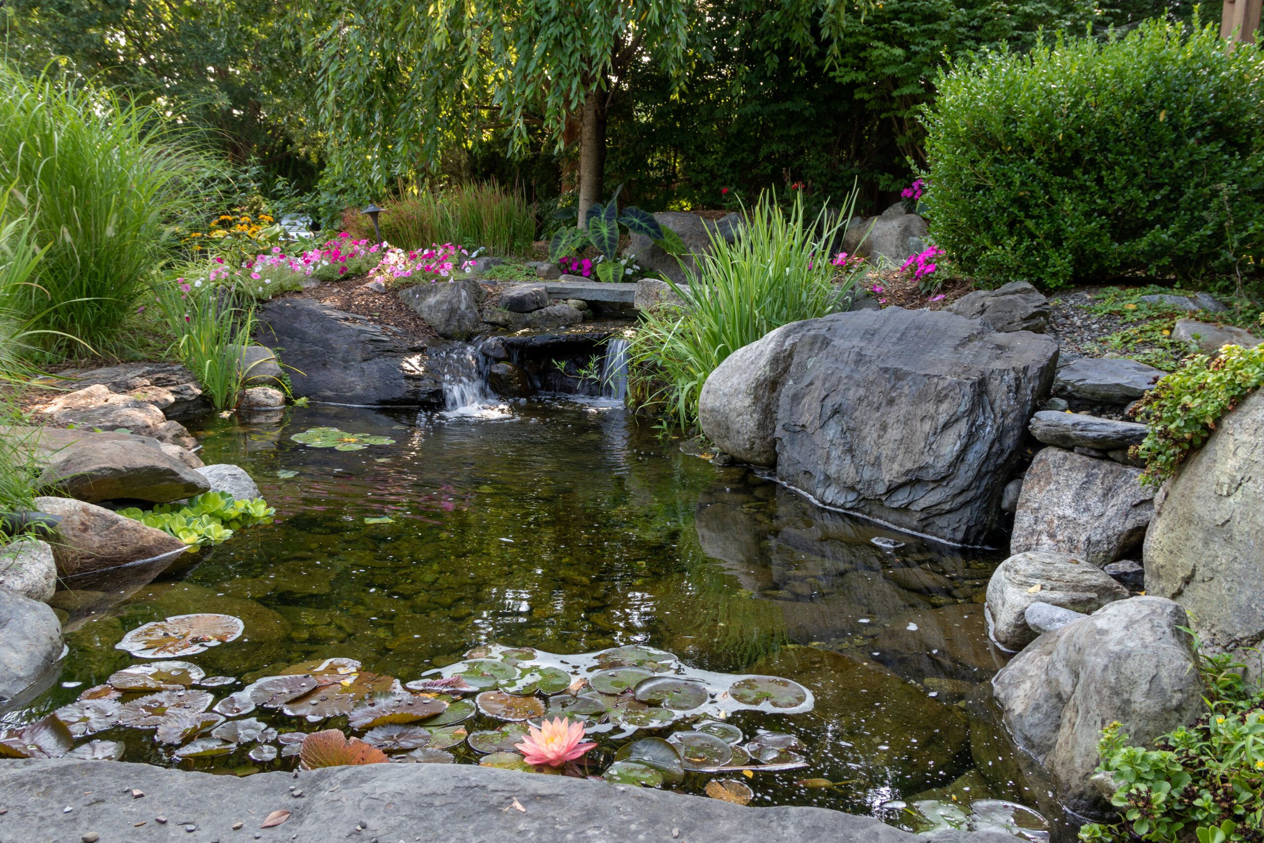 How to Build a Small Backyard Fish Pond: Easy DIY Guide