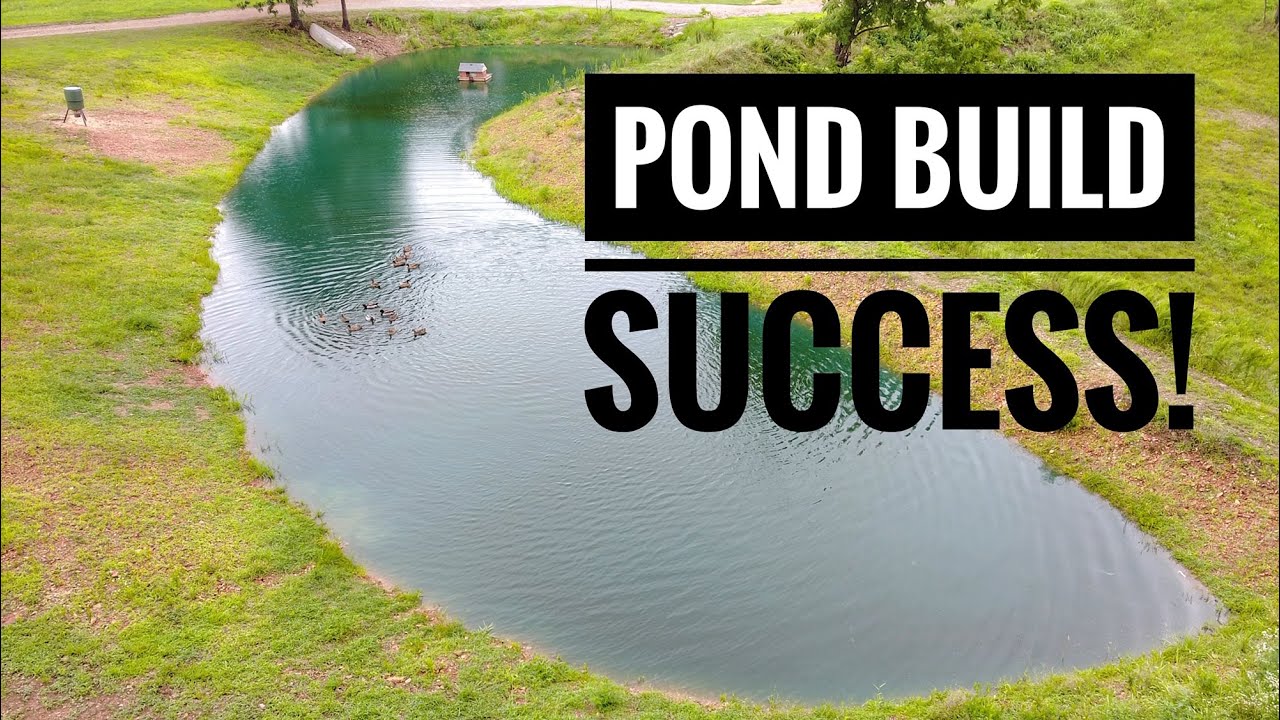 How to Build a Small Pond for Fishing: Ultimate Guide