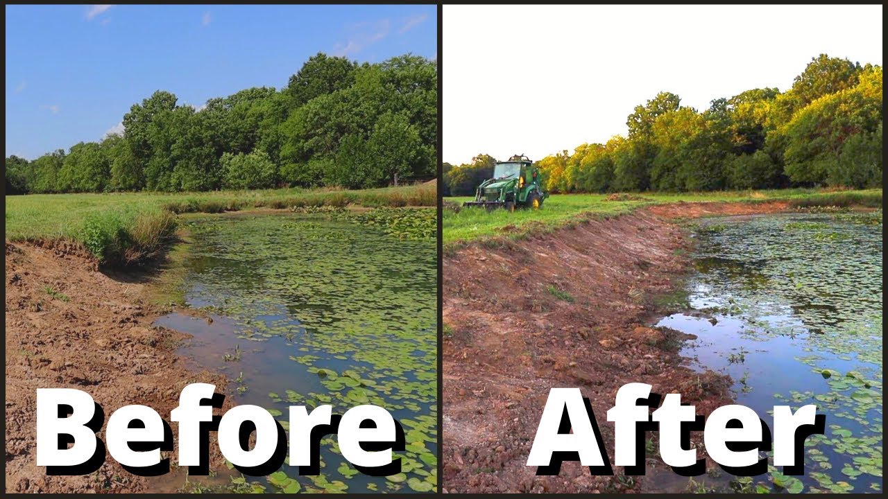How to Build Up a Pond Bank: Easy & Effective Steps