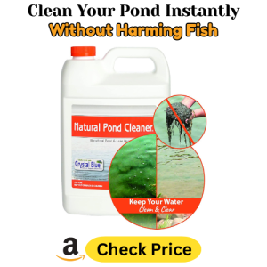 How to Add No Phos to Pool: A Crystal Clear Guide