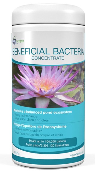 5 Best Beneficial Bacteria for Ponds [For Clean & Healthy Water]