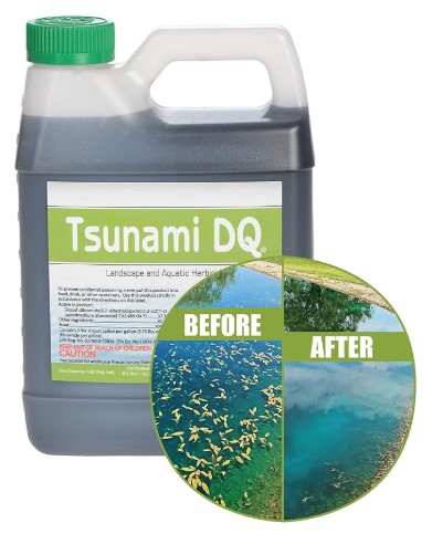 5 Best Pond Weed Killers to Keep Your Water Clear & Healthy