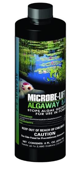 5 Best Algaecides for Ponds That Keep Water Crystal Clear